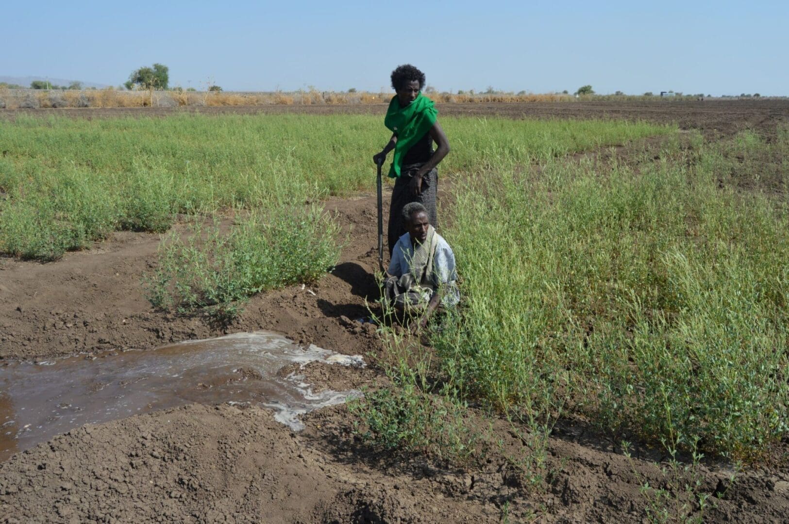 We must secure community land rights and protect forests and ecosystems ...
