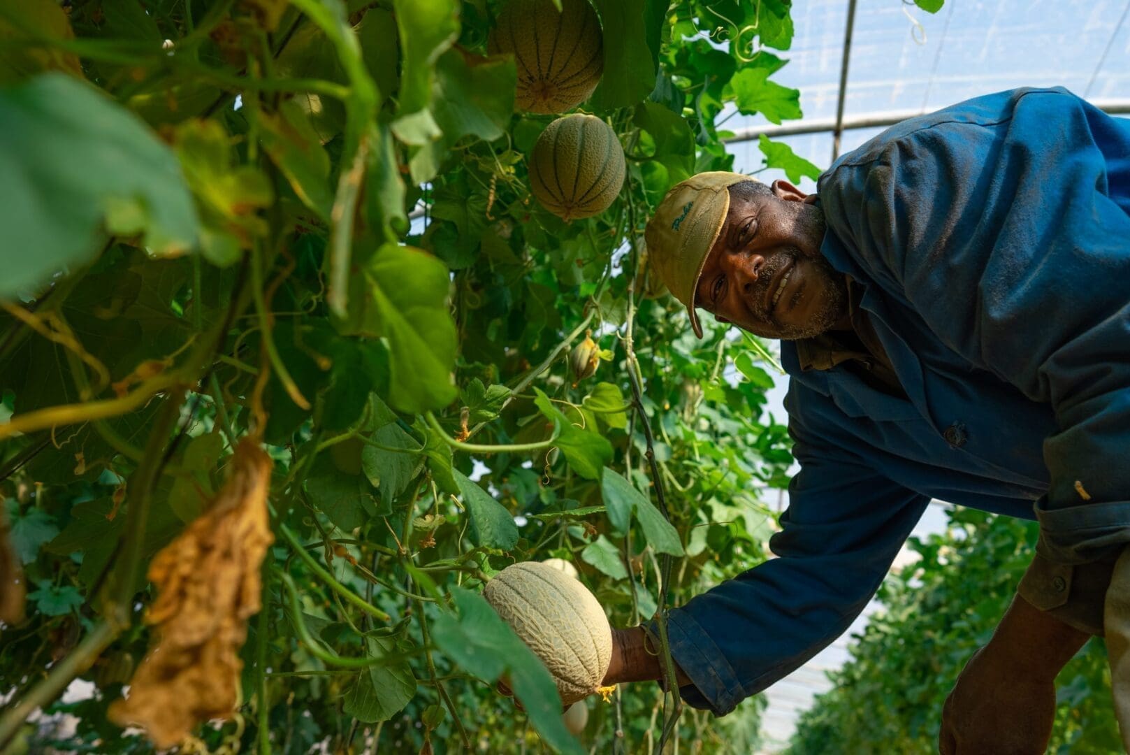 “When people’s livelihoods feel safe, they work much harder”: Securing ...