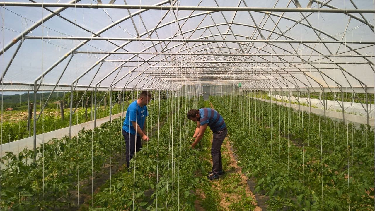 What is Nisab | Zakat - Islamic Relief Worldwide