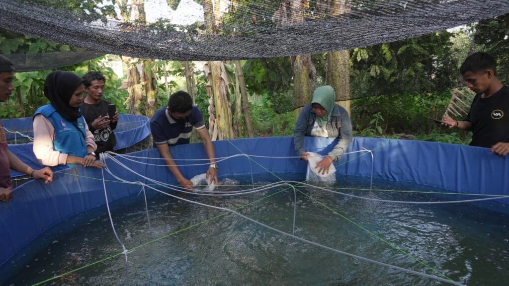 The power to recover: How fish farming is helping a disaster-hit ...