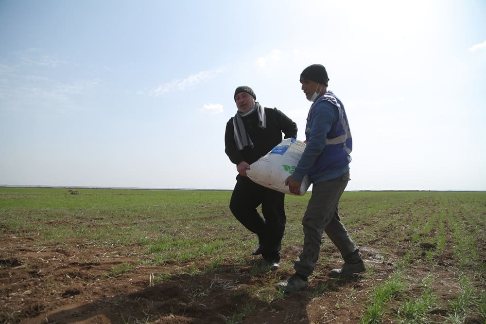 Surviving Syria: 12 years of suffering and endurance – IRW – Syria