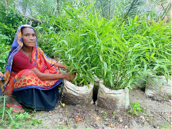 Climate-adaptive farming helps Bangladesh village survive rising sea ...